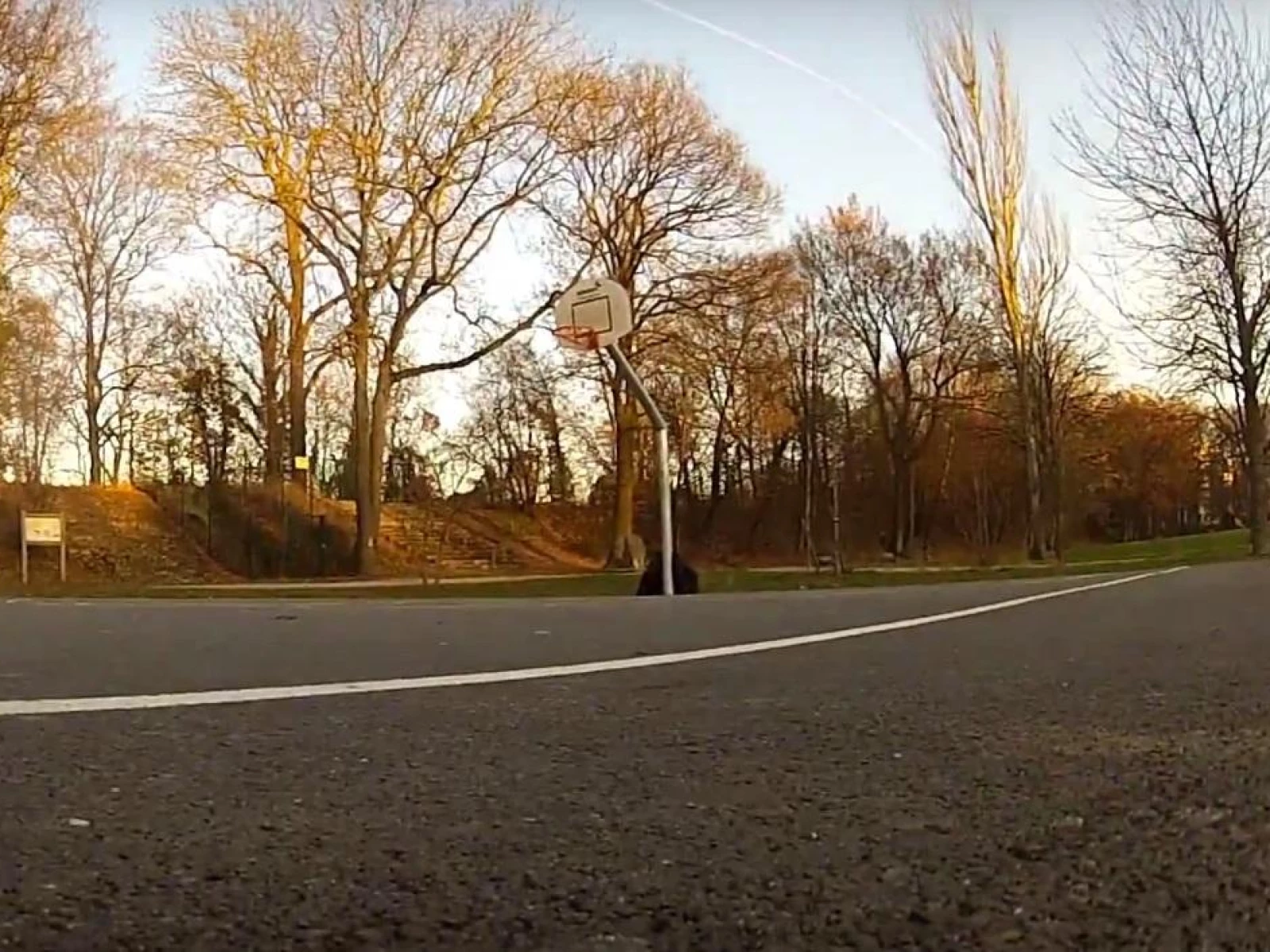 Meudon Terrain de basketball : Parc du Tronchet – Courts of the World