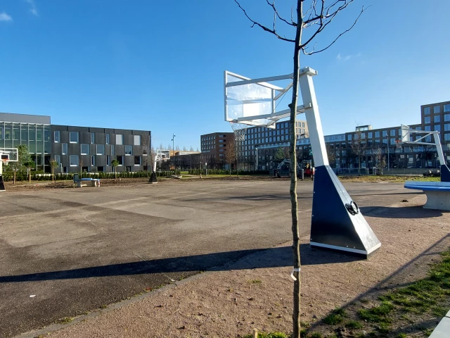 Utrecht Basketball Court: Leidsche Rijn College – Courts of the World