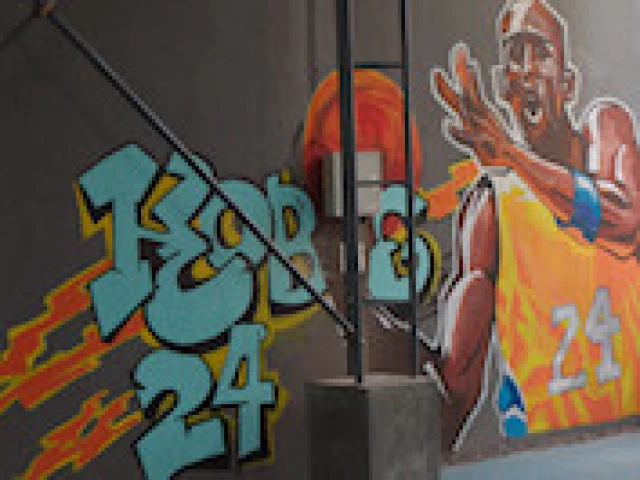 Colombo Basketball Court: CLC Basketball Hub – Courts of the World