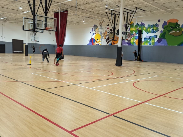 Mississauga Basketball Court: Kings Court – Courts of the World