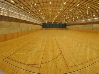 Saxton Stadium – Basketball Court in Nelson | Courts of the World
