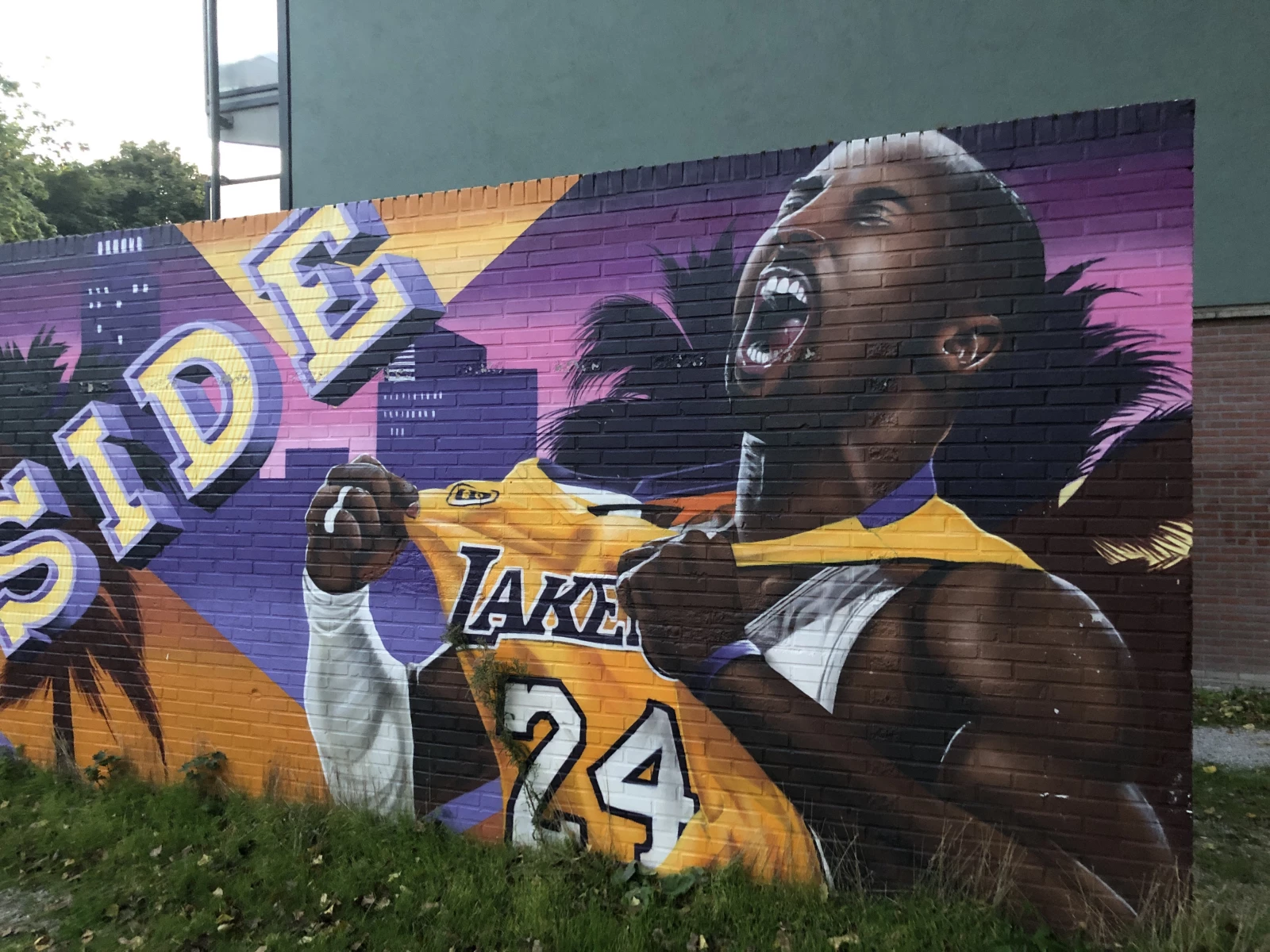 Veenendaal Basketball Court: Palmen grift – Courts of the World