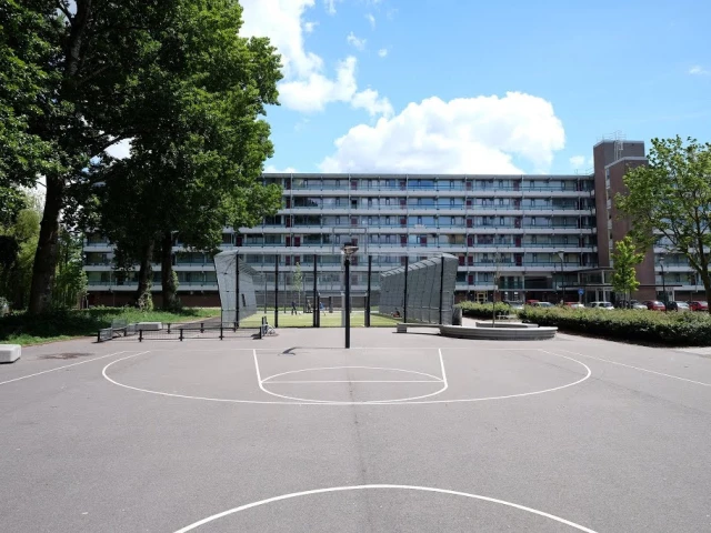 Veenendaal Basketball Court: Palmen grift – Courts of the World