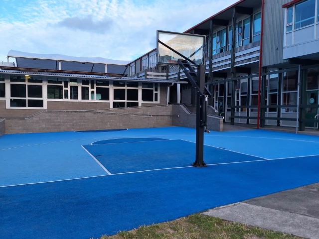 Wellington Basketball Court: Raroa School – Courts of the World