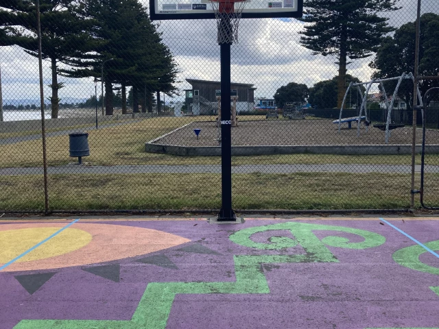 Gisborne Basketball Court: Hoops in Parks | Waikanae Beach Playground ...