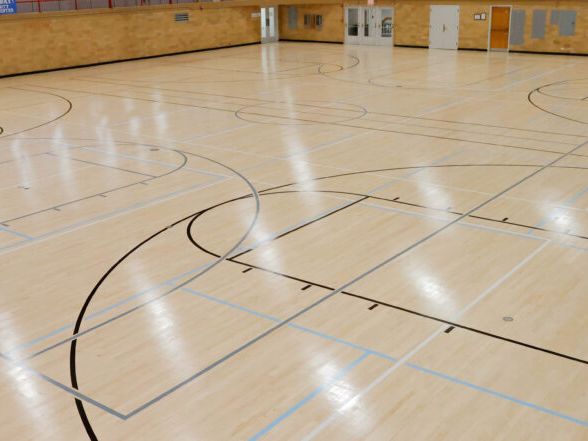 Palatine Community Center – Basketball Court in Palatine, IL | Courts ...