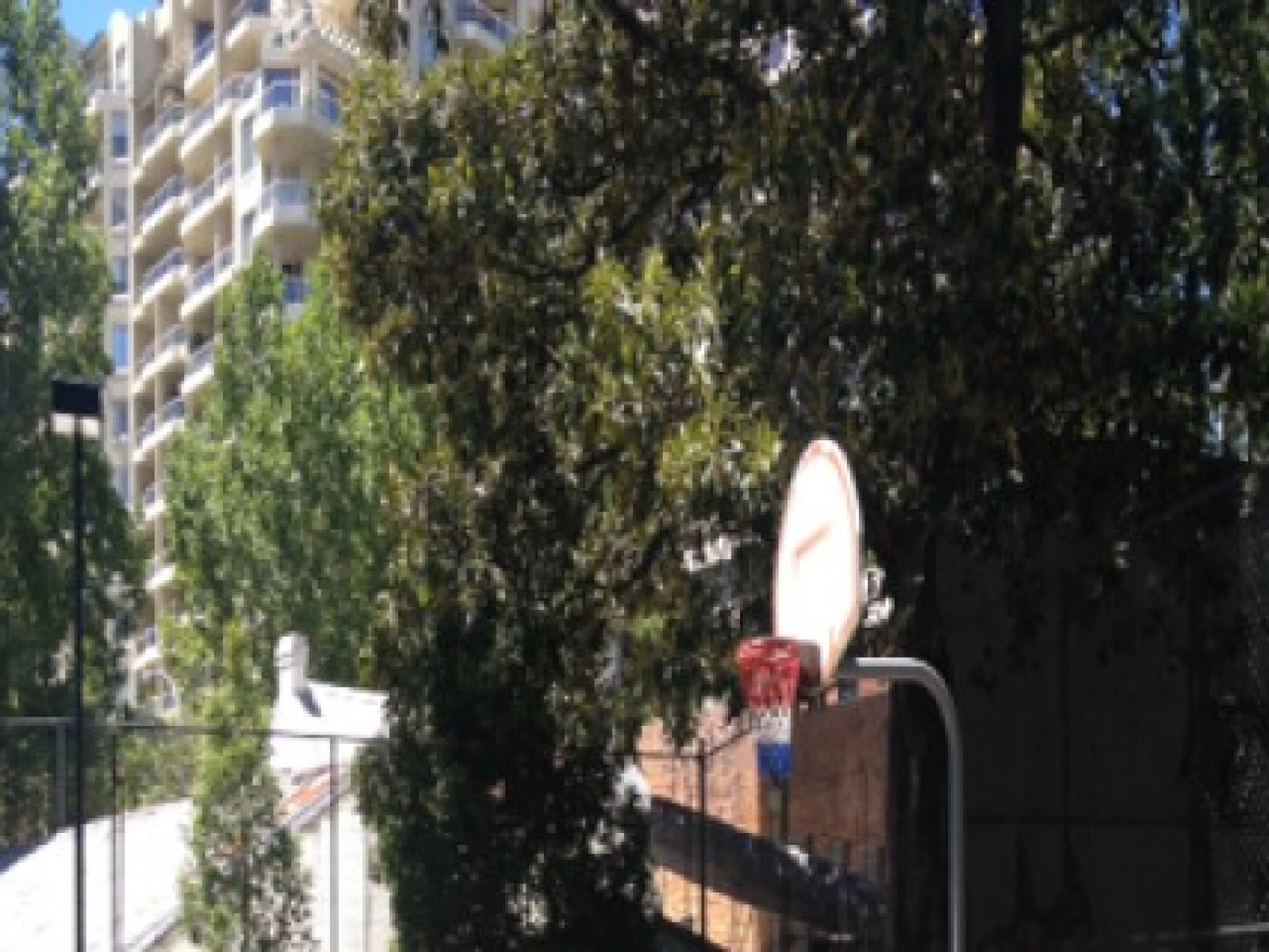 Sydney Basketball Court: Phillip Cook – Courts of the World