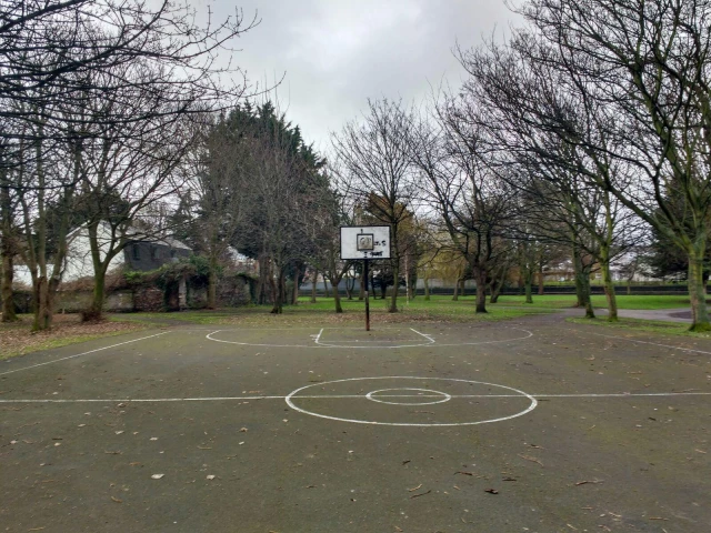 Dublin Basketball Court: Ringsend Park – Courts of the World